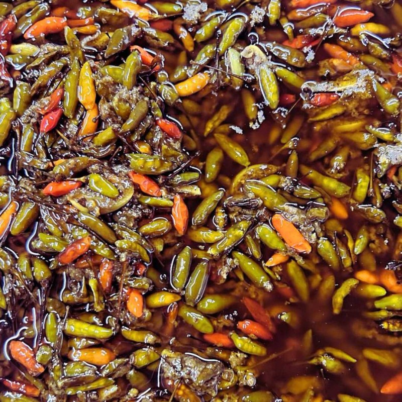 Bird's Eye Chilli Pickle from Ha Skum, Shillong, Meghalaya