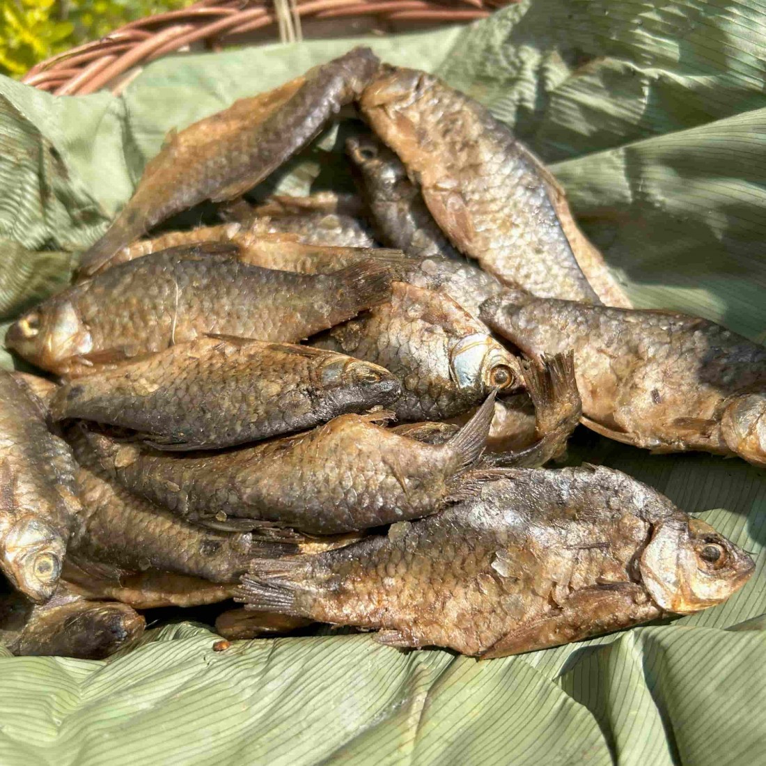 Fermented Fish - Tungtap, Ngari